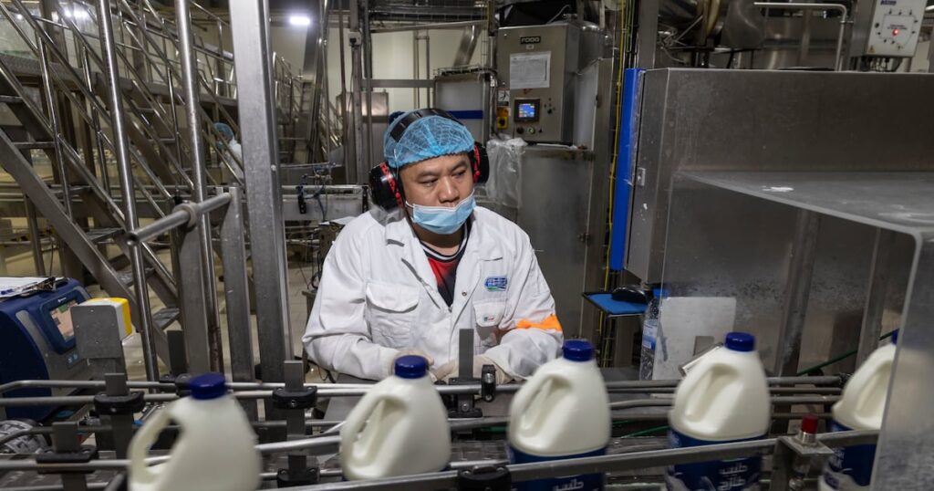 UAE Food Producer Aims for Sustainable Future With Tech Partnership ...
